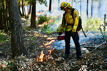 PUC Continues Building Fire Resilience Across Forest Property Through Successful 13 Acre Planned ...